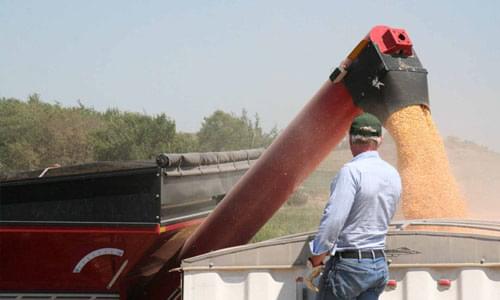 Homepage - Mountain Scales